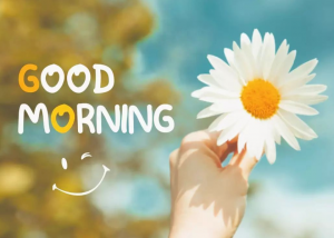 Inspirational Good Morning Messages to Make Someone's Day ...