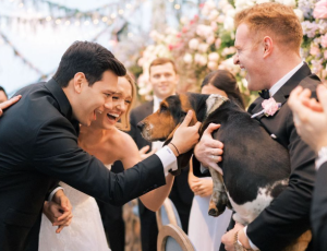 53+ Unique and Inspiring Wedding Wishes For Your Colleague ...