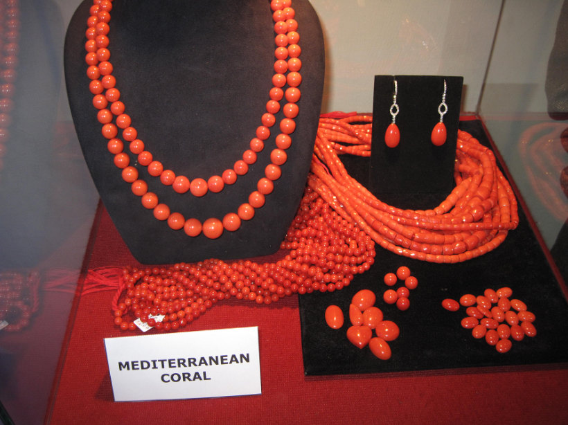 The Surprising Reasons Behind the High Cost of Coral Jewelry ...